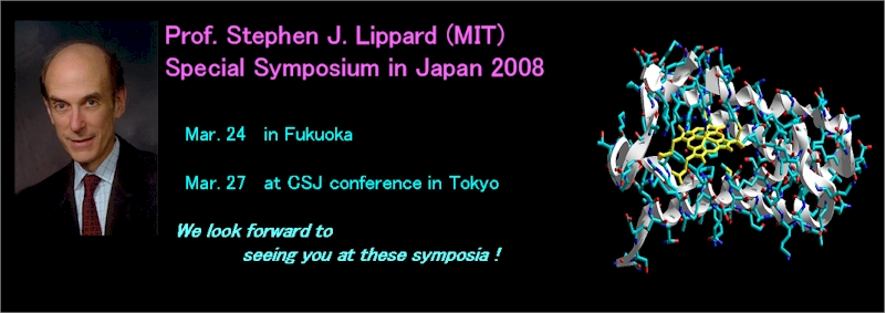 Prof. Lippard Visits Japan in 2008